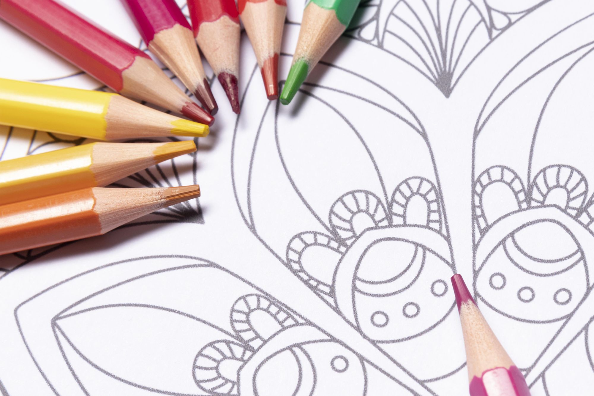 Coloring book printing | sprint24.net