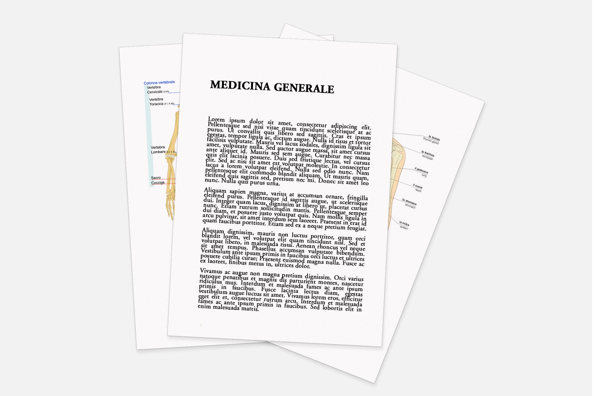 Online University Handouts Printing | sprint24.net