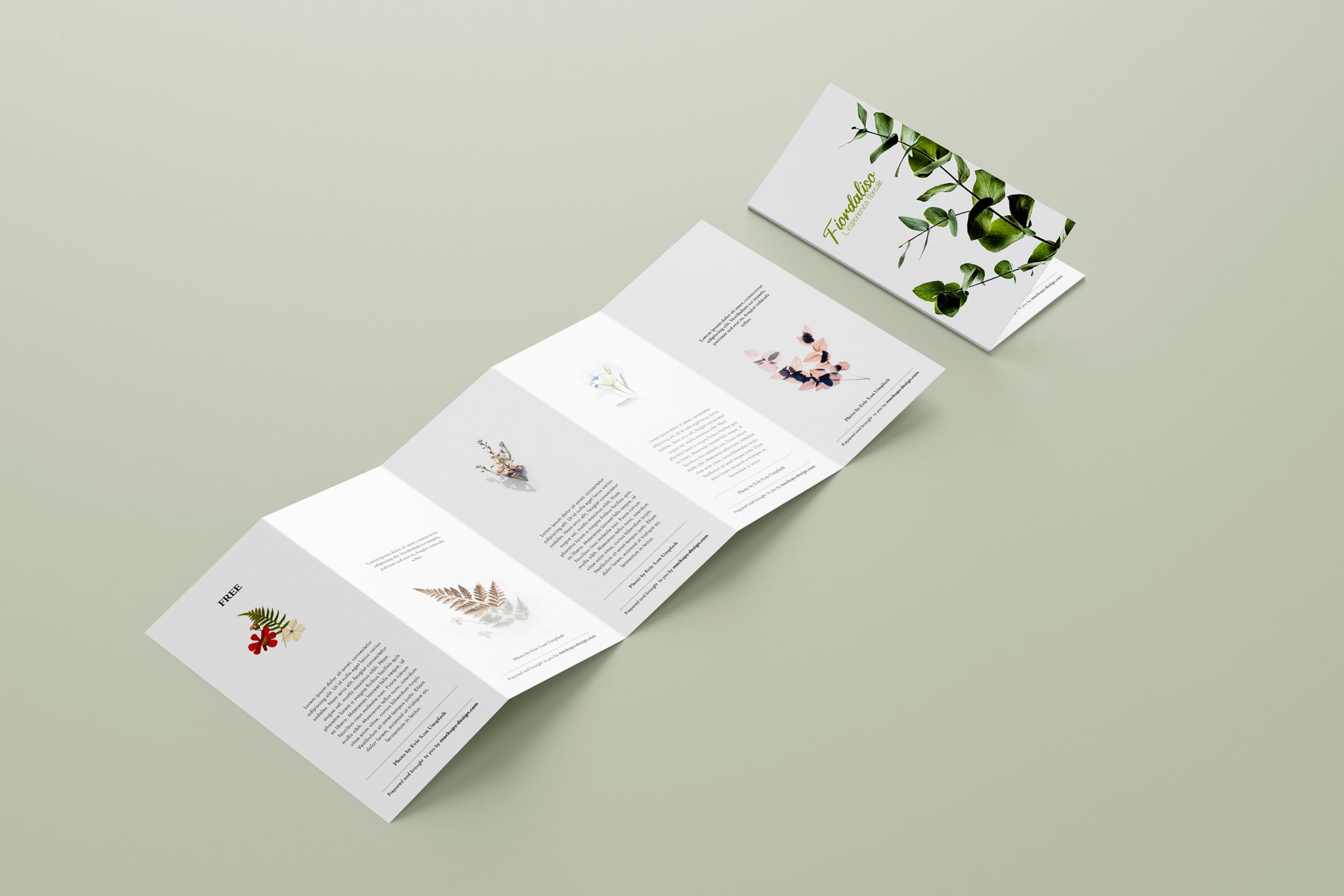 Five-Panel Penta-Fold Brochure: Printing Online Custom UK | sprint24.net